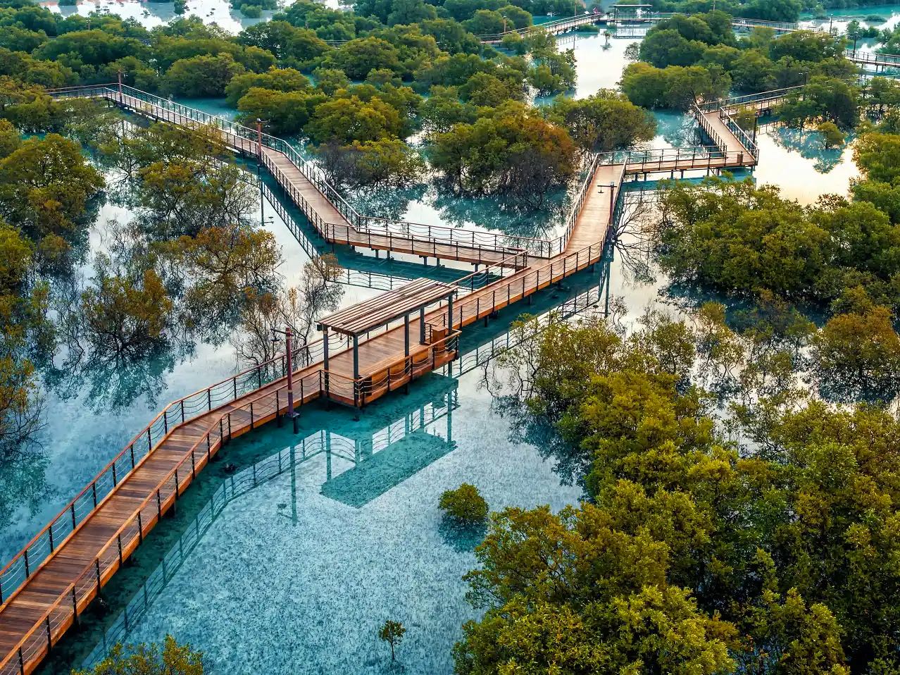 ITB - Travel Industry News - Etihad Airways launches Mangrove Forest in ...