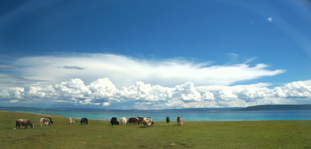 ITB - Travel Industry News - MONGOLIA PROUD OF KHUVSGUL LAKE BECOMING ...