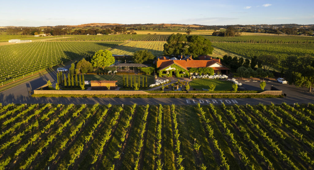 ITB - Travel Industry News - Wine, a major asset for South Australia's ...