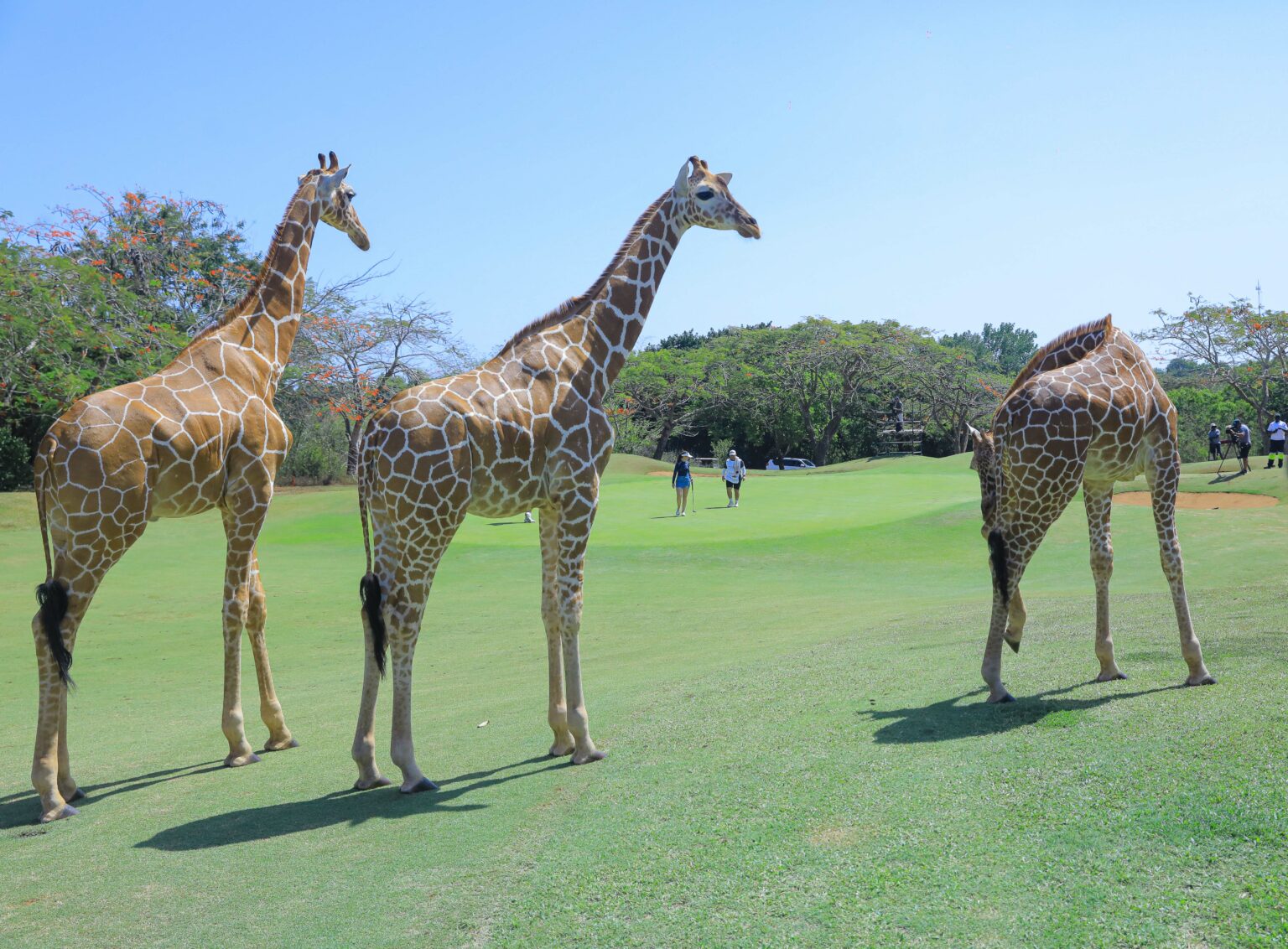 Magical Kenya makes big splash with natural wonders - Travel Industry News