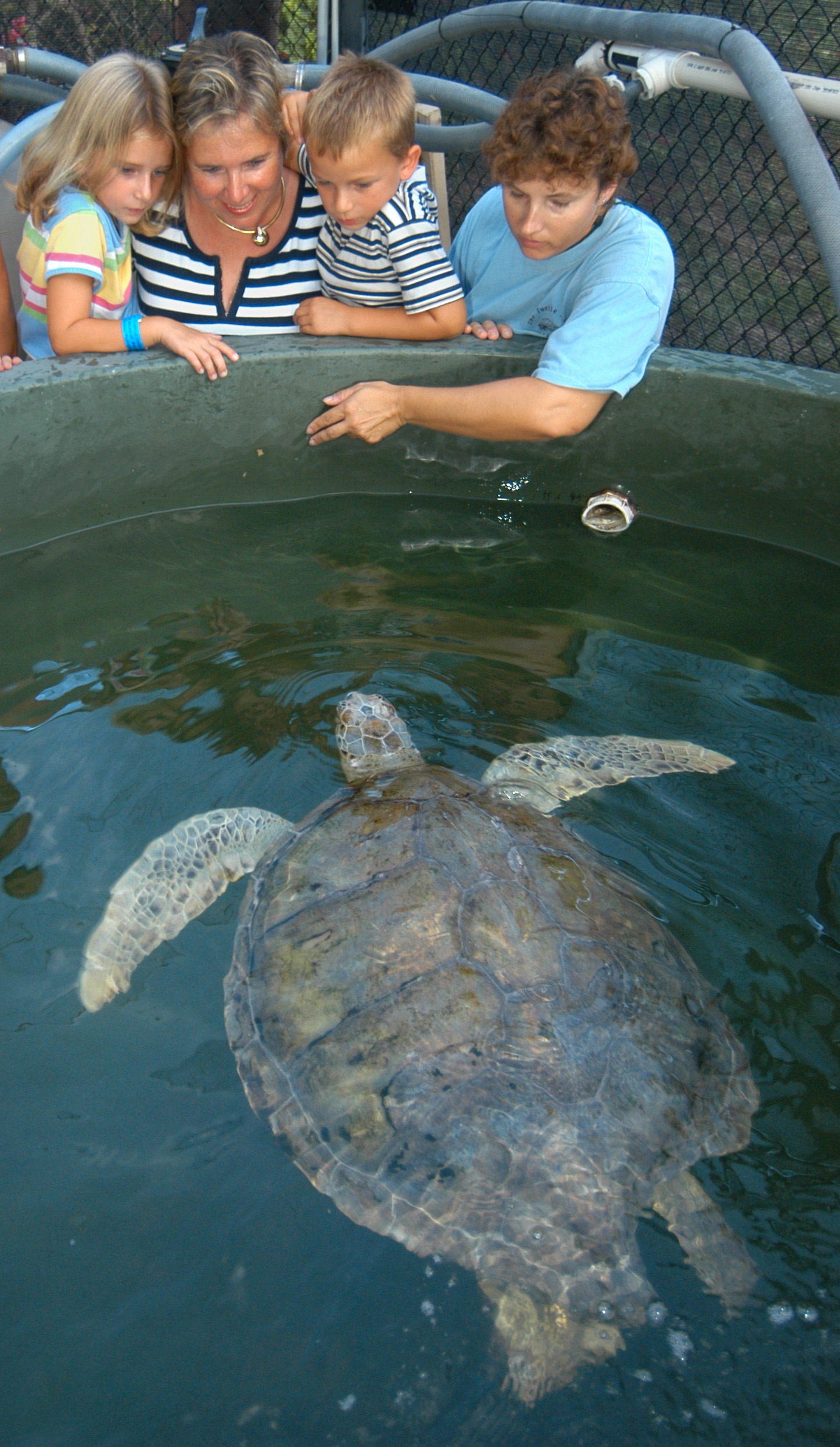ITB - Travel Industry News - Top 5 experiences in the Florida Keys on ...